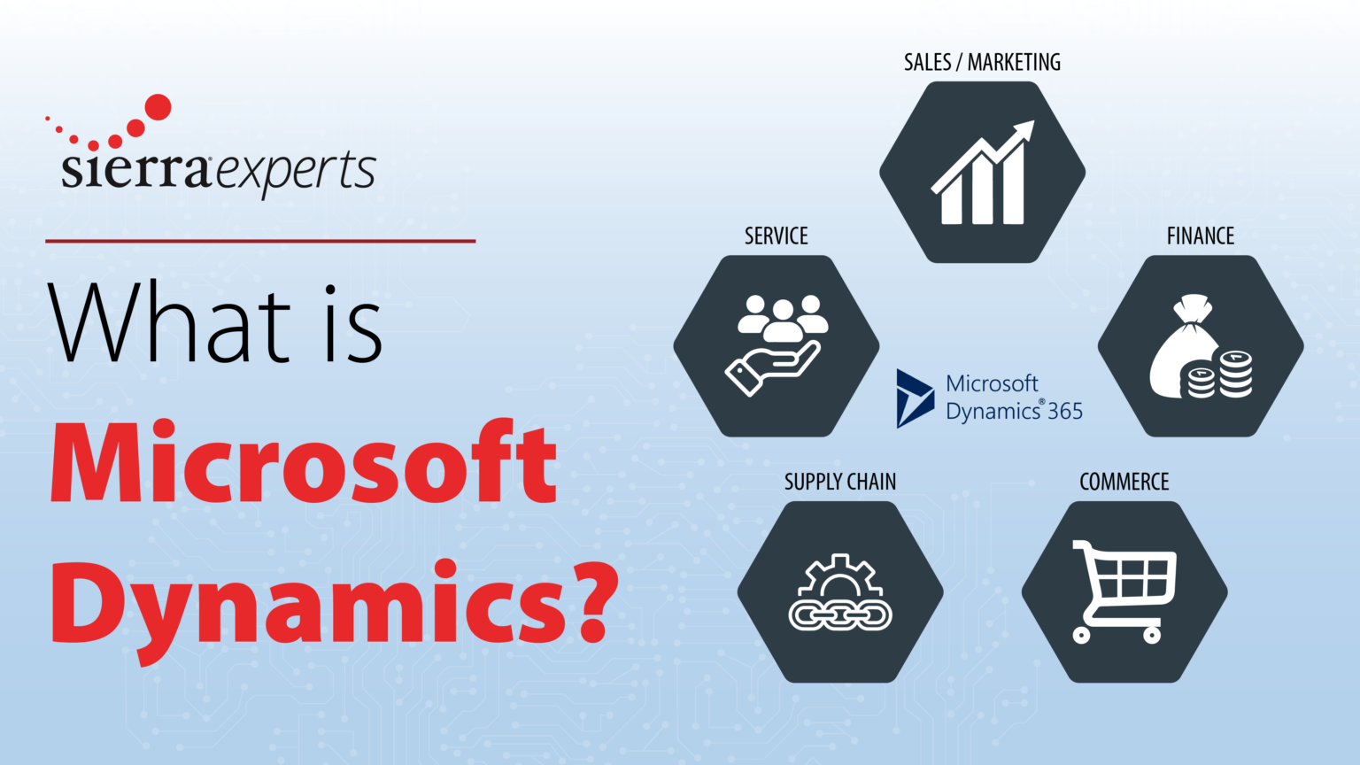 What is Microsoft Dynamics? - Sierra Experts